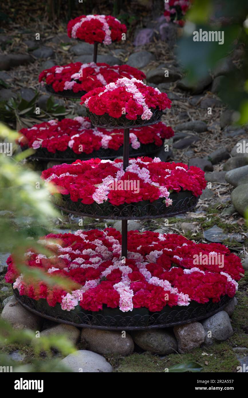 Girona flower show 2023 - Temps de Flors - floral displays in the ...