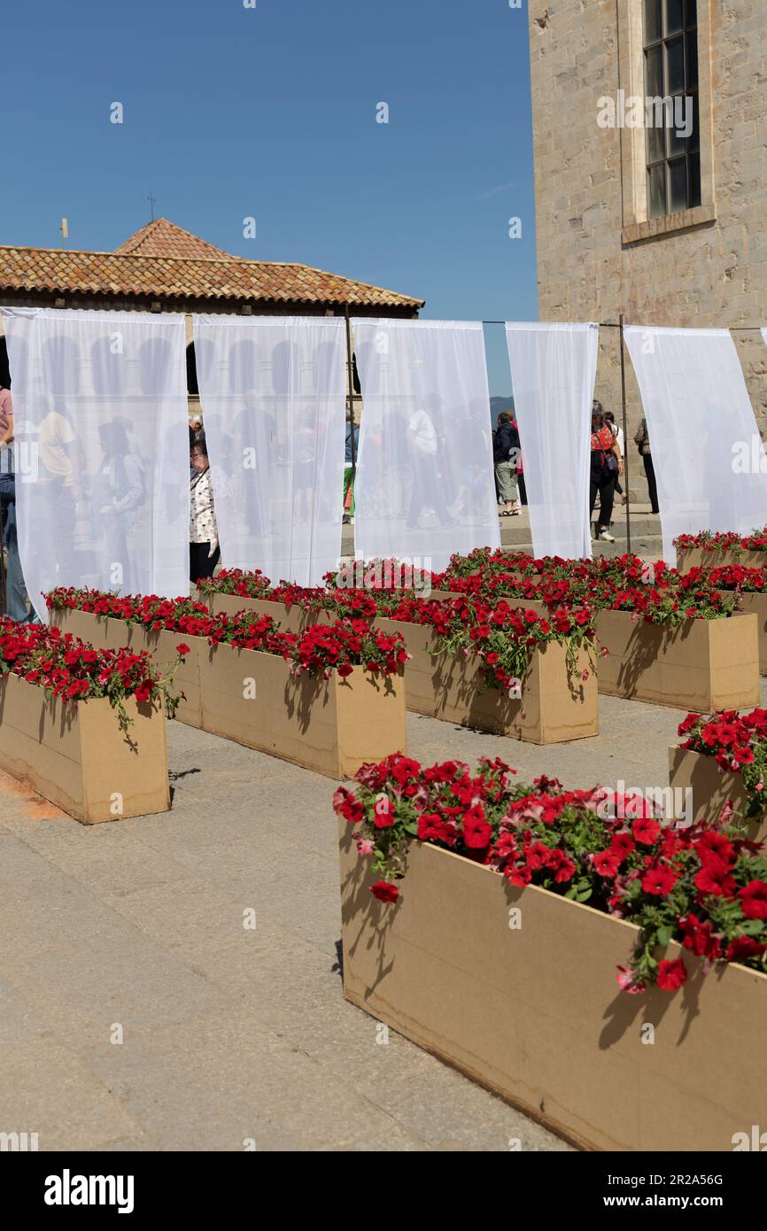 Girona flower show 2023 - Temps de Flors - floral displays in the ...