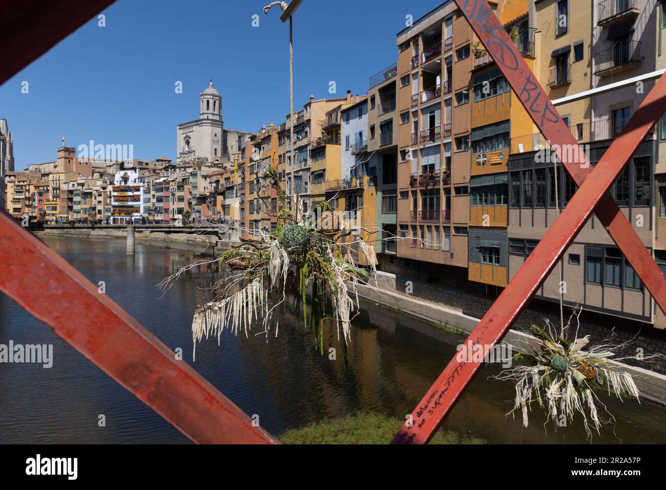 Girona flower show 2023 - Temps de Flors - floral displays in the ...