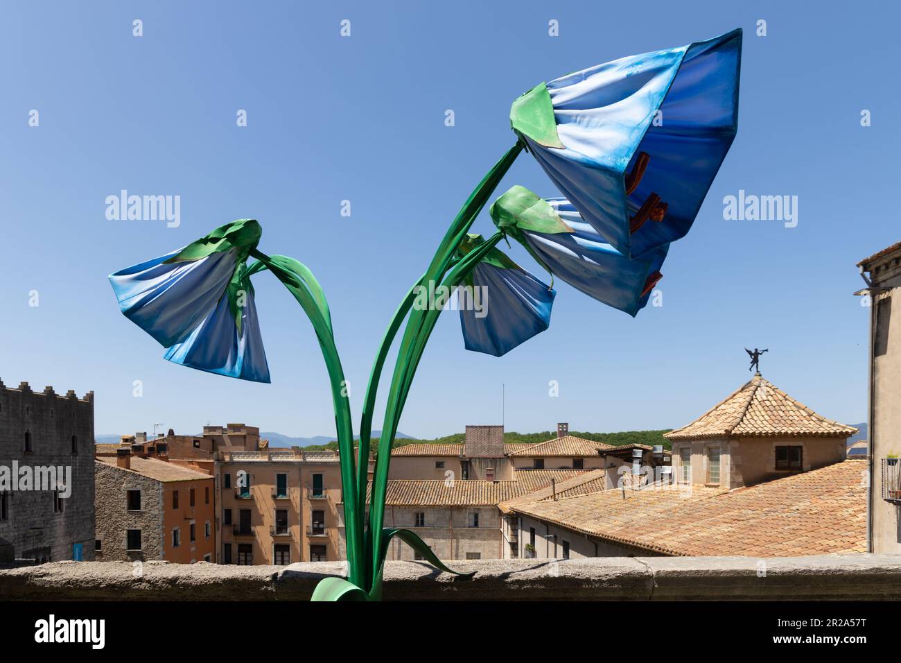Girona flower show 2023 - Temps de Flors - floral displays in the ...