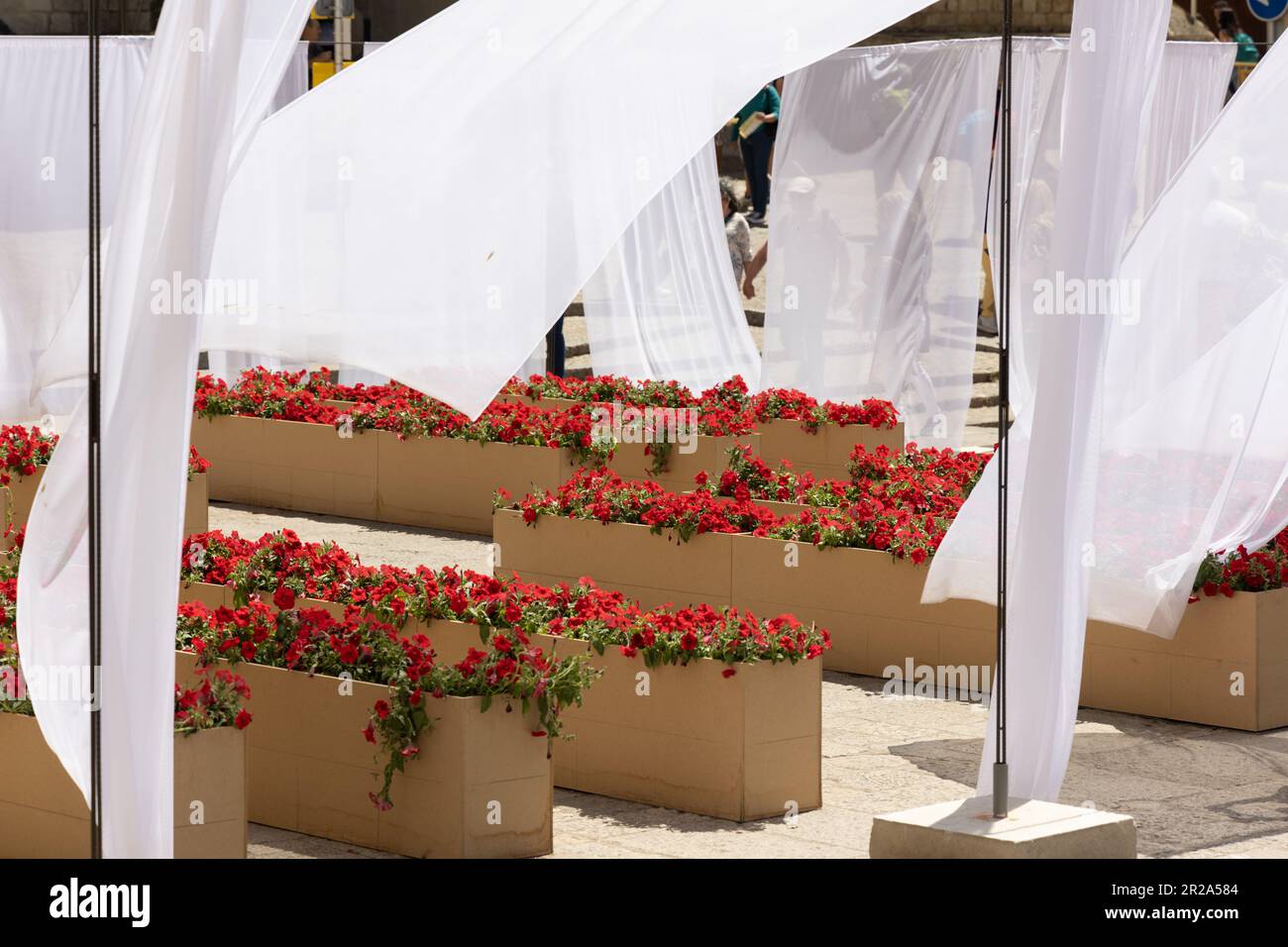 Girona flower show 2023 - Temps de Flors - floral displays in the ...