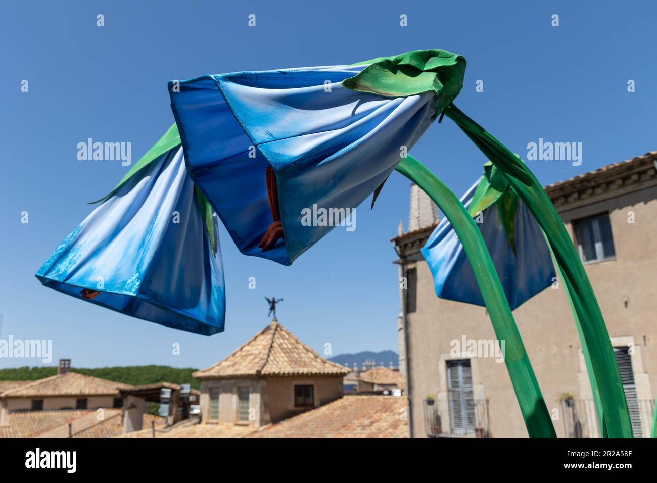 Girona flower show 2023 - Temps de Flors - floral displays in the ...