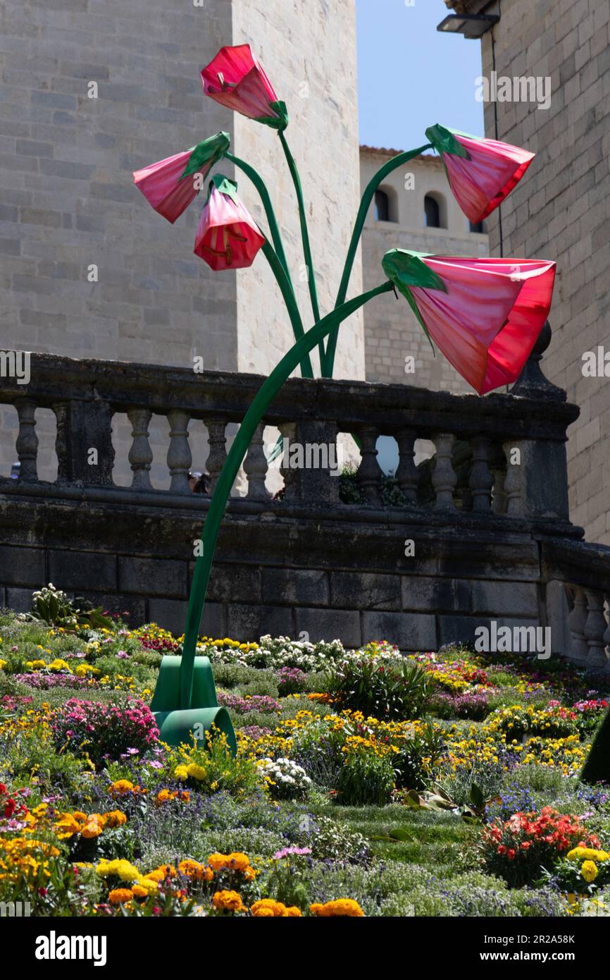 Girona flower show 2023 - Temps de Flors - floral displays in the ...