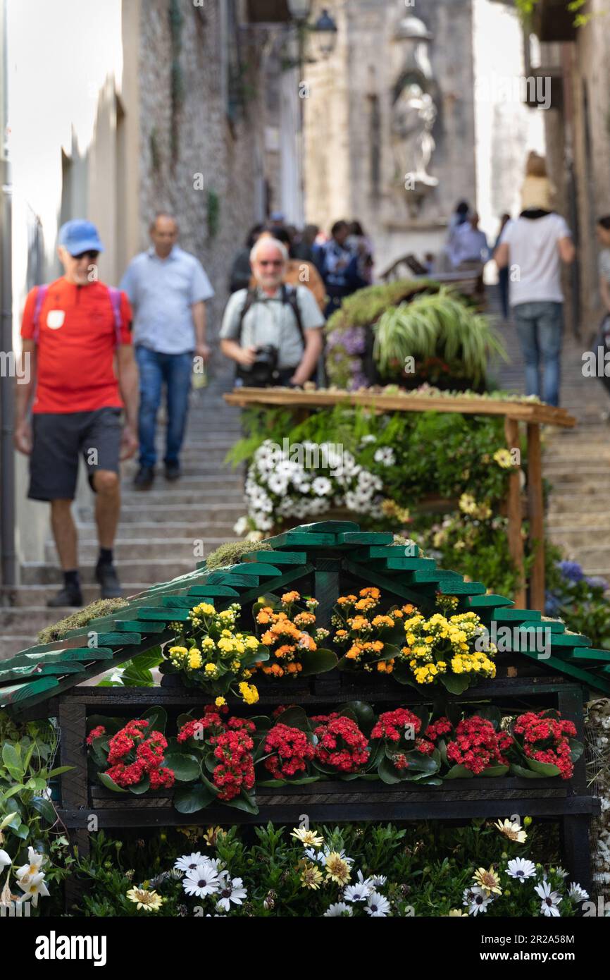 Girona flower show 2023 - Temps de Flors - floral displays in the ...