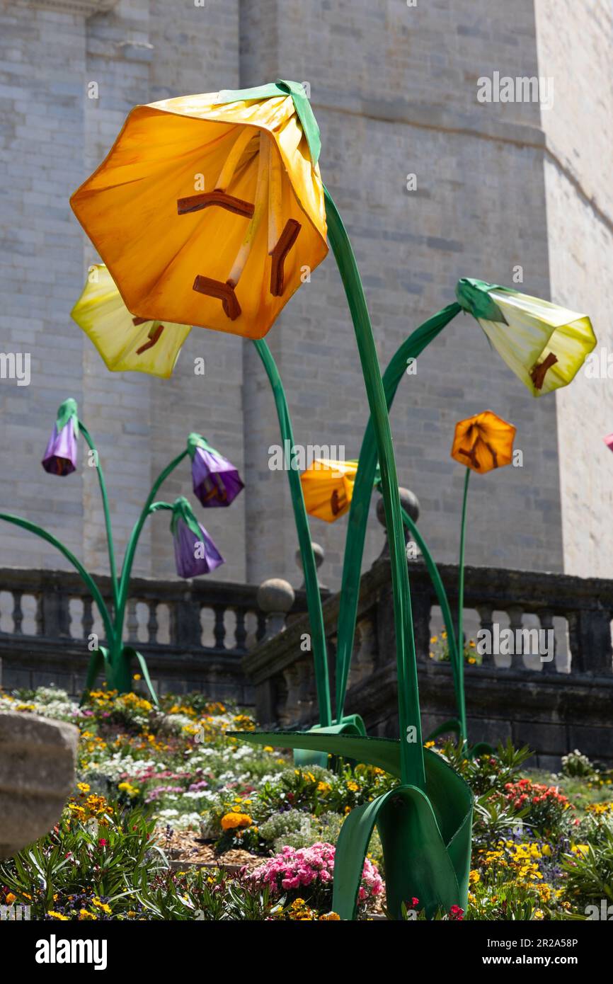 Girona flower show 2023 - Temps de Flors - floral displays in the ...