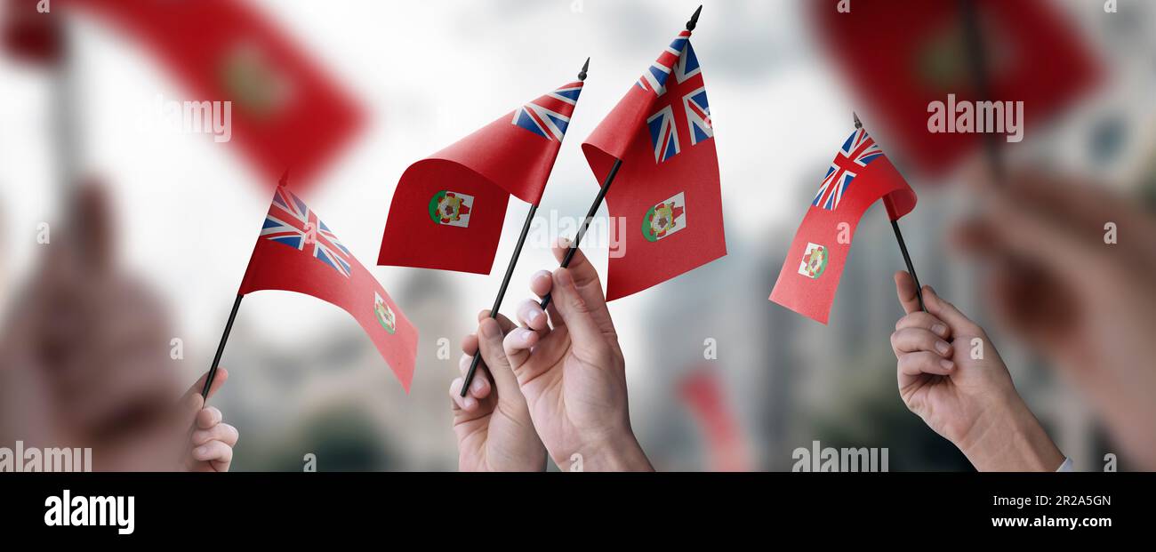 A group of people holding small flags of the Bermuda in their hands ...