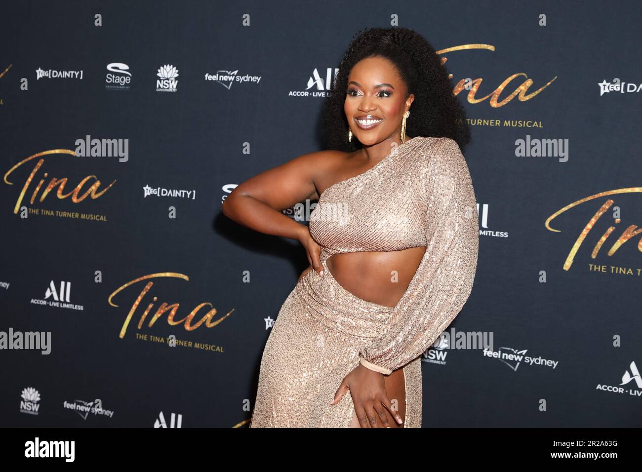 The tina turner musical performance hi-res stock photography and images - Alamy