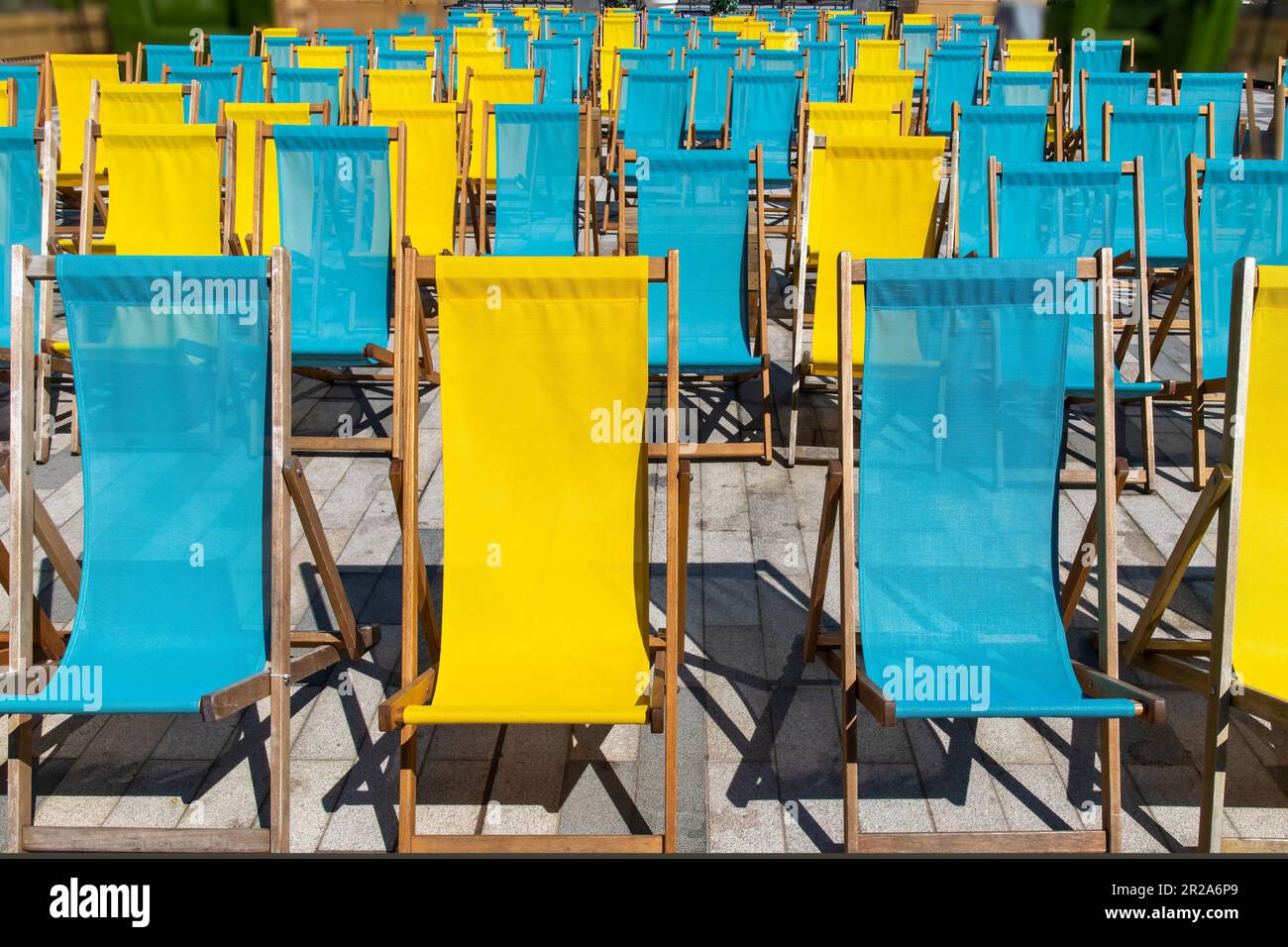 Neat rows of bright colored yellow and blue deck chairs all facing in ...