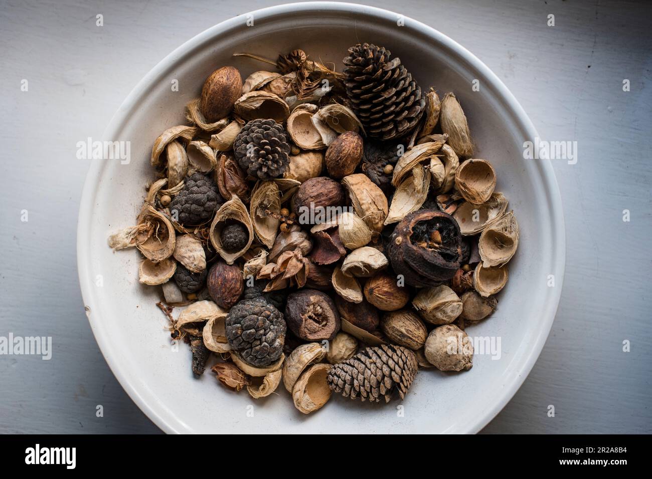 Open shells hi-res stock photography and images - Alamy