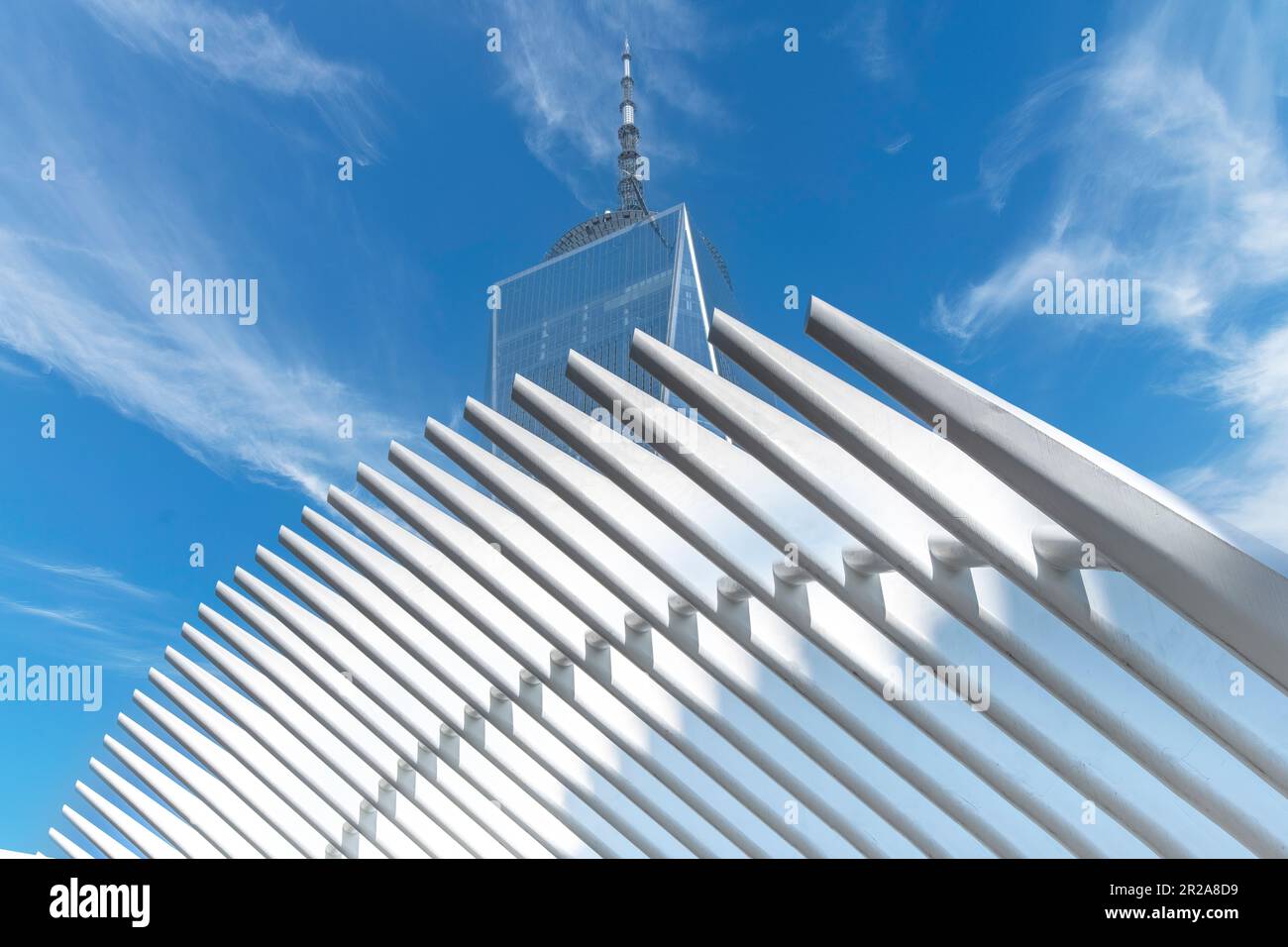 New York City, NY, USA-August 2022; View of steel ribs of structural ...