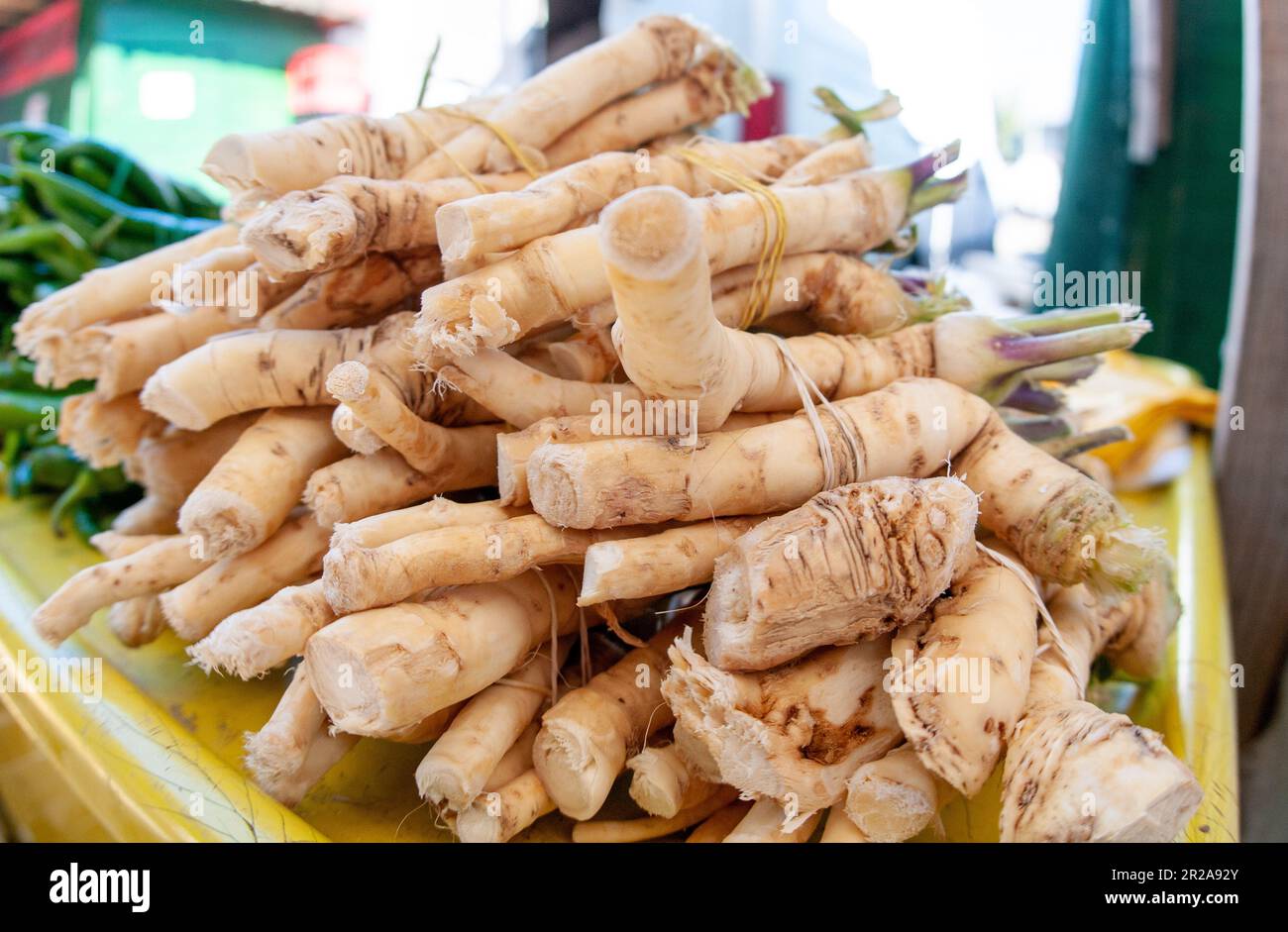 Close-up on a stack of horseradish on a market stall Stock Photo - Alamy