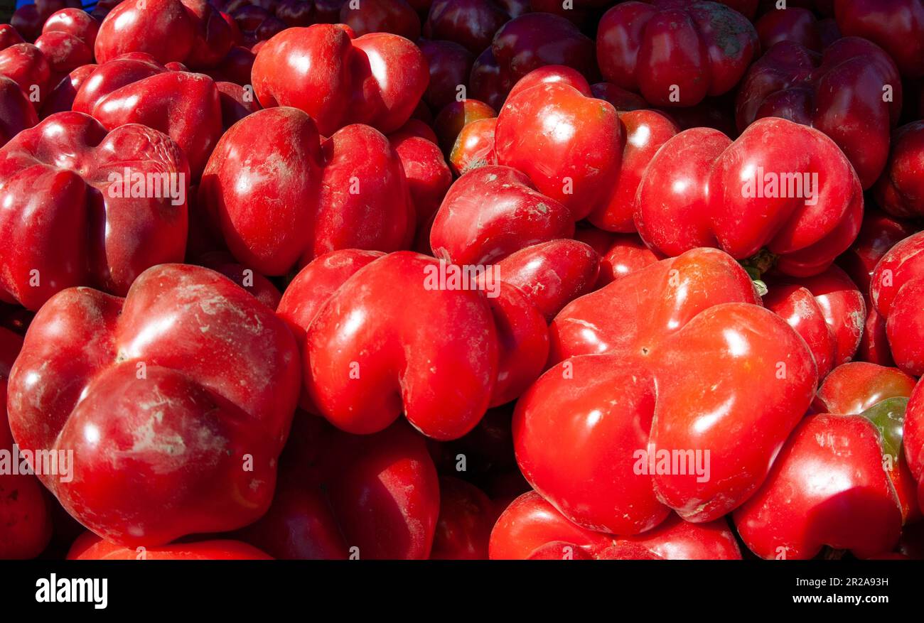 Red cabbage pears hi-res stock photography and images - Alamy