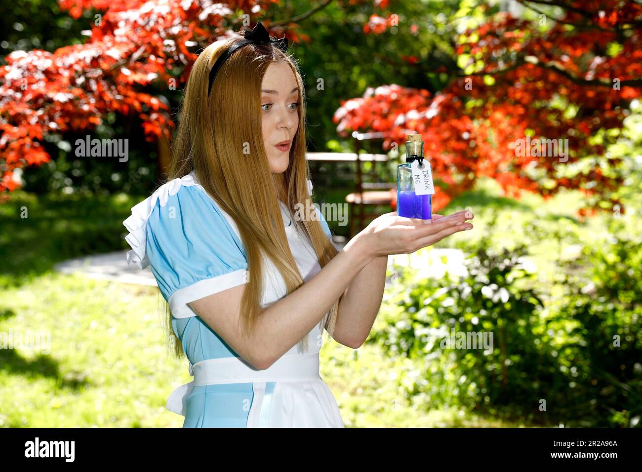 GEEK ART - Bodypainting and Transformaking: Alice in Wonderland ...