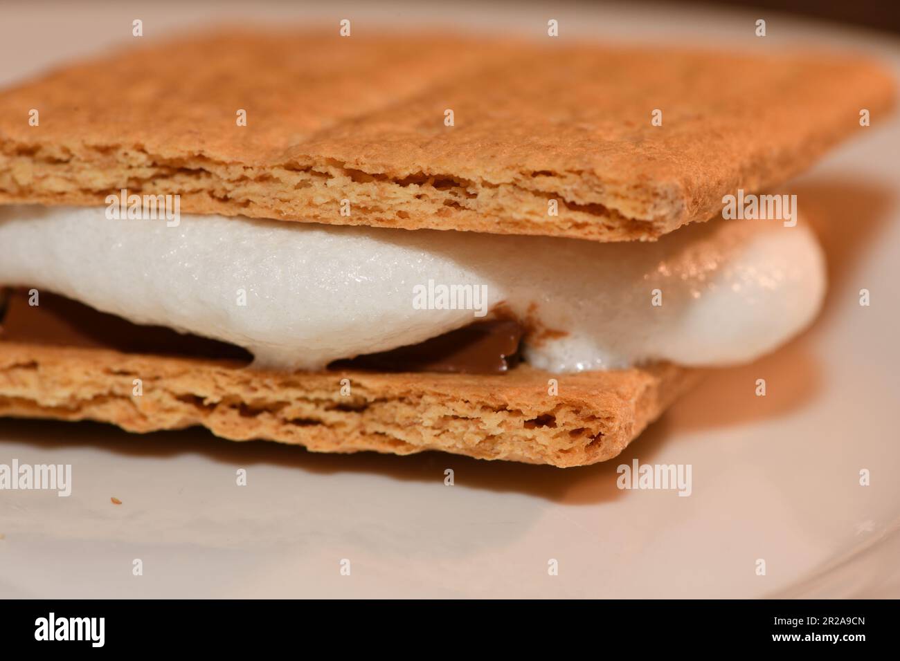Smores sandwiches with chocolate and marshmallow hi-res stock ...