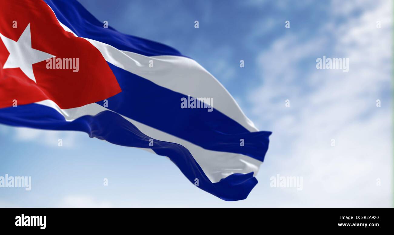 Triangle Flag Waving