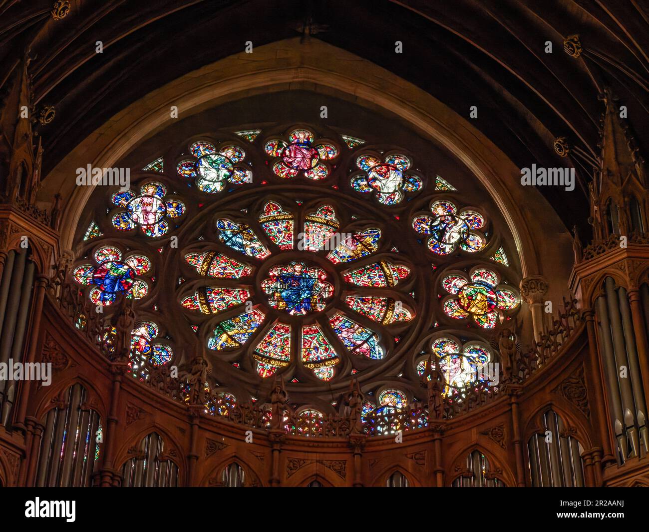 A huge round stained glass window inside St. Colman's Cathedral in Cobh ...