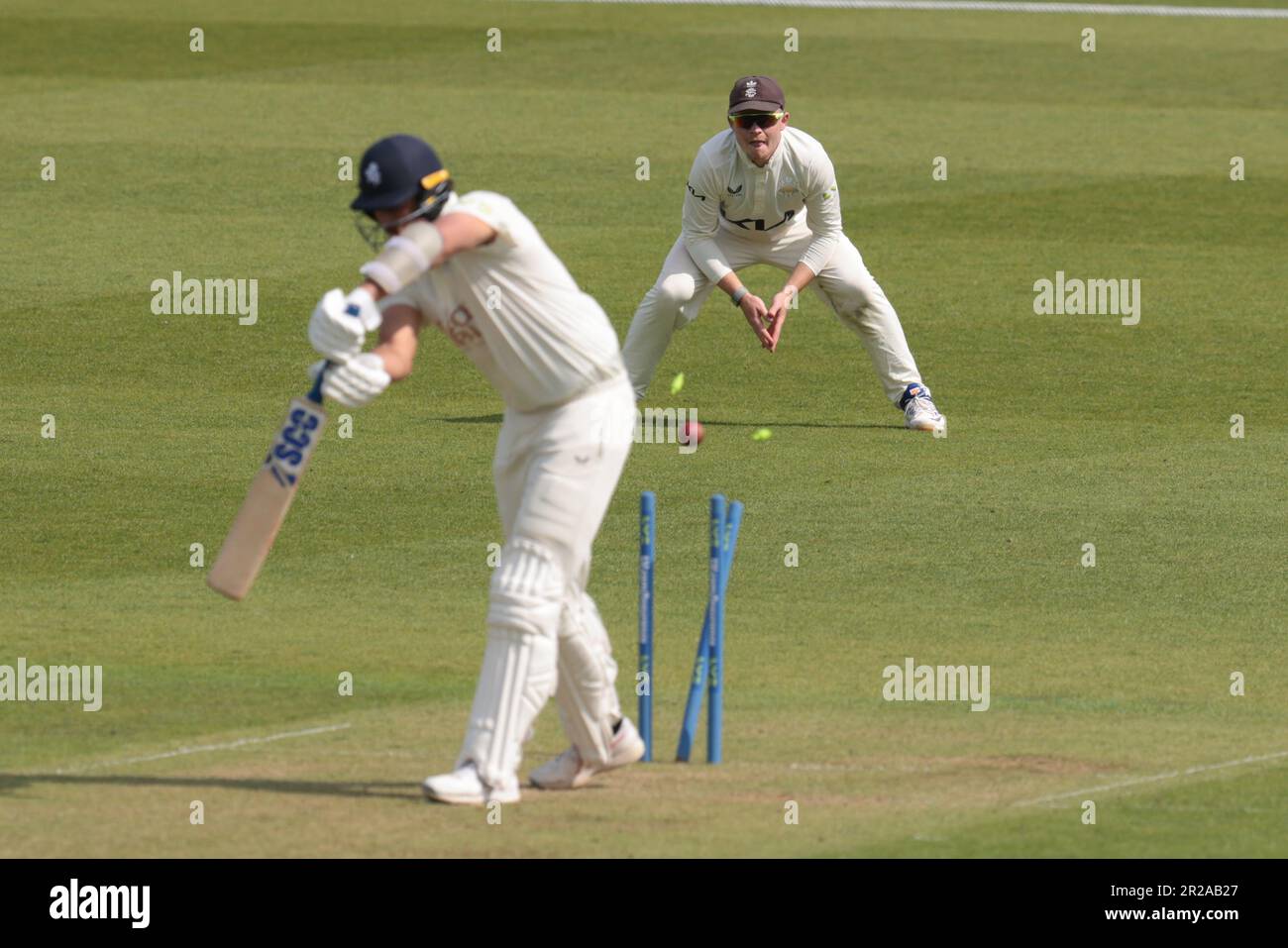 Agar agar live hi-res stock photography and images - Alamy