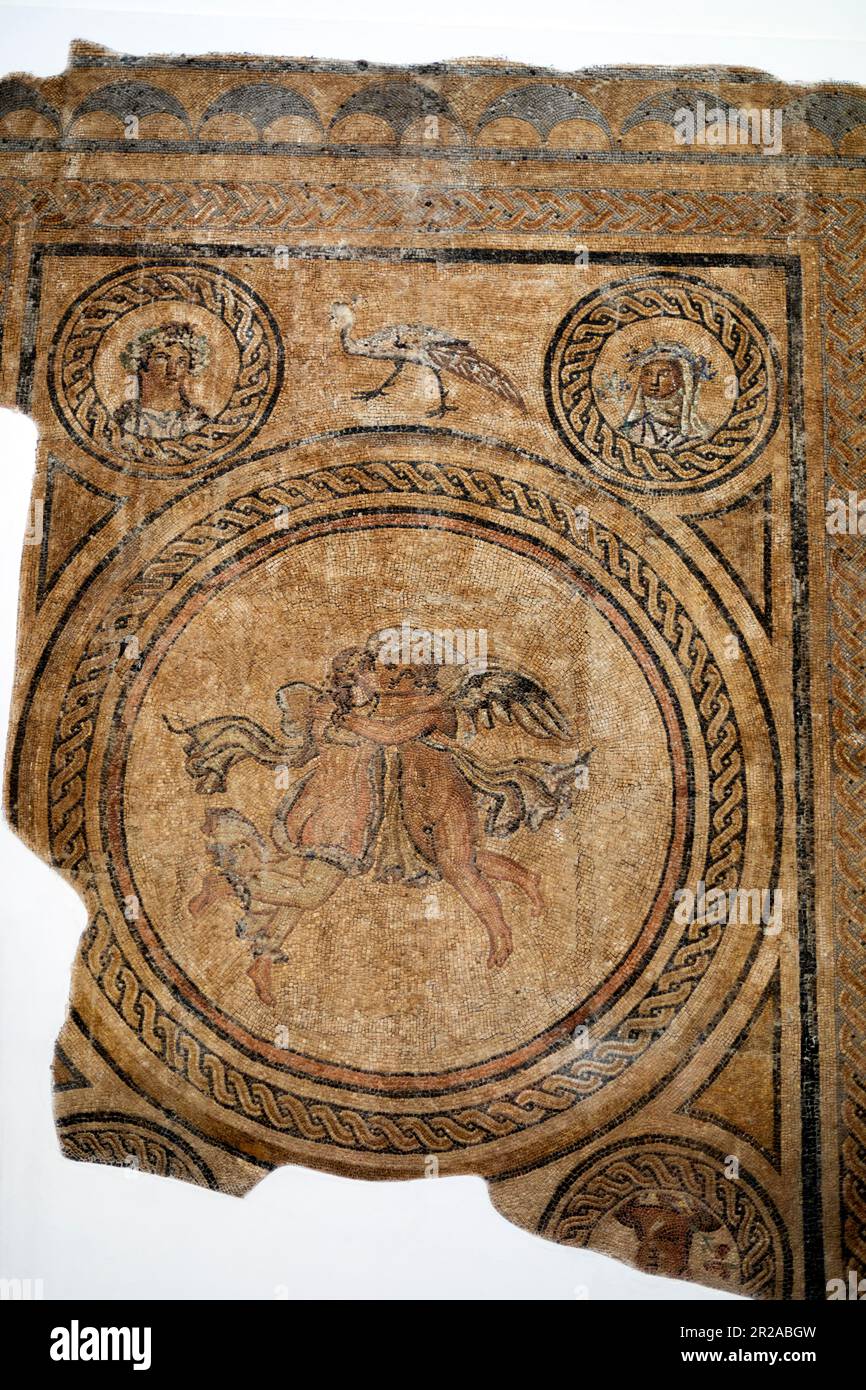 Spain, Andalusia, Cordoba, Alcazar of The Christian Monarchs, Hall of Mosaics, Roman era mosaics ...