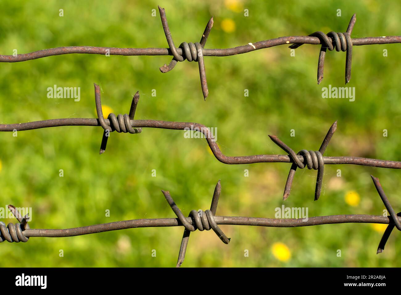 Guard knot hi-res stock photography and images - Alamy