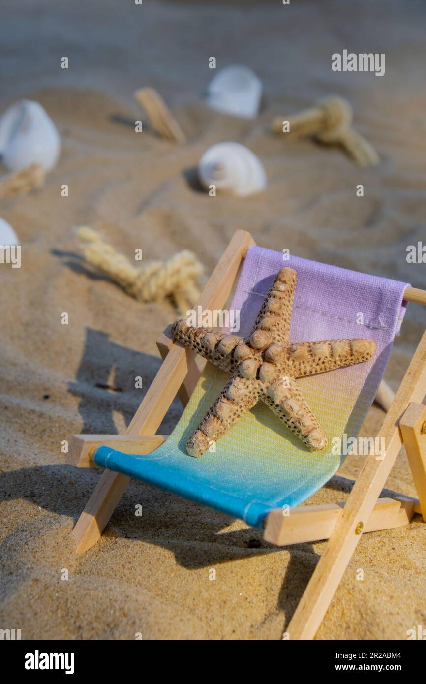 Sunny holidays on the beach with sand beach accessories with sea shells ...
