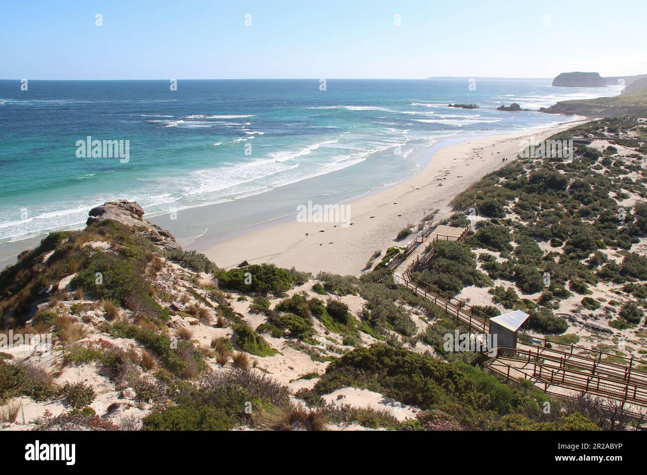 littoral at seal bay at kangaroo island in australia Stock Photo - Alamy