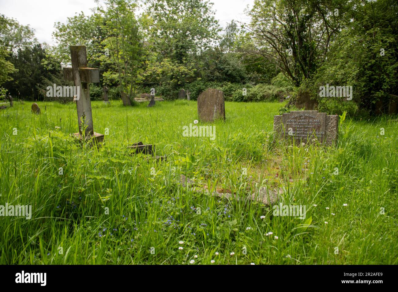 Cemetery long grass for wildlife hi-res stock photography and images ...
