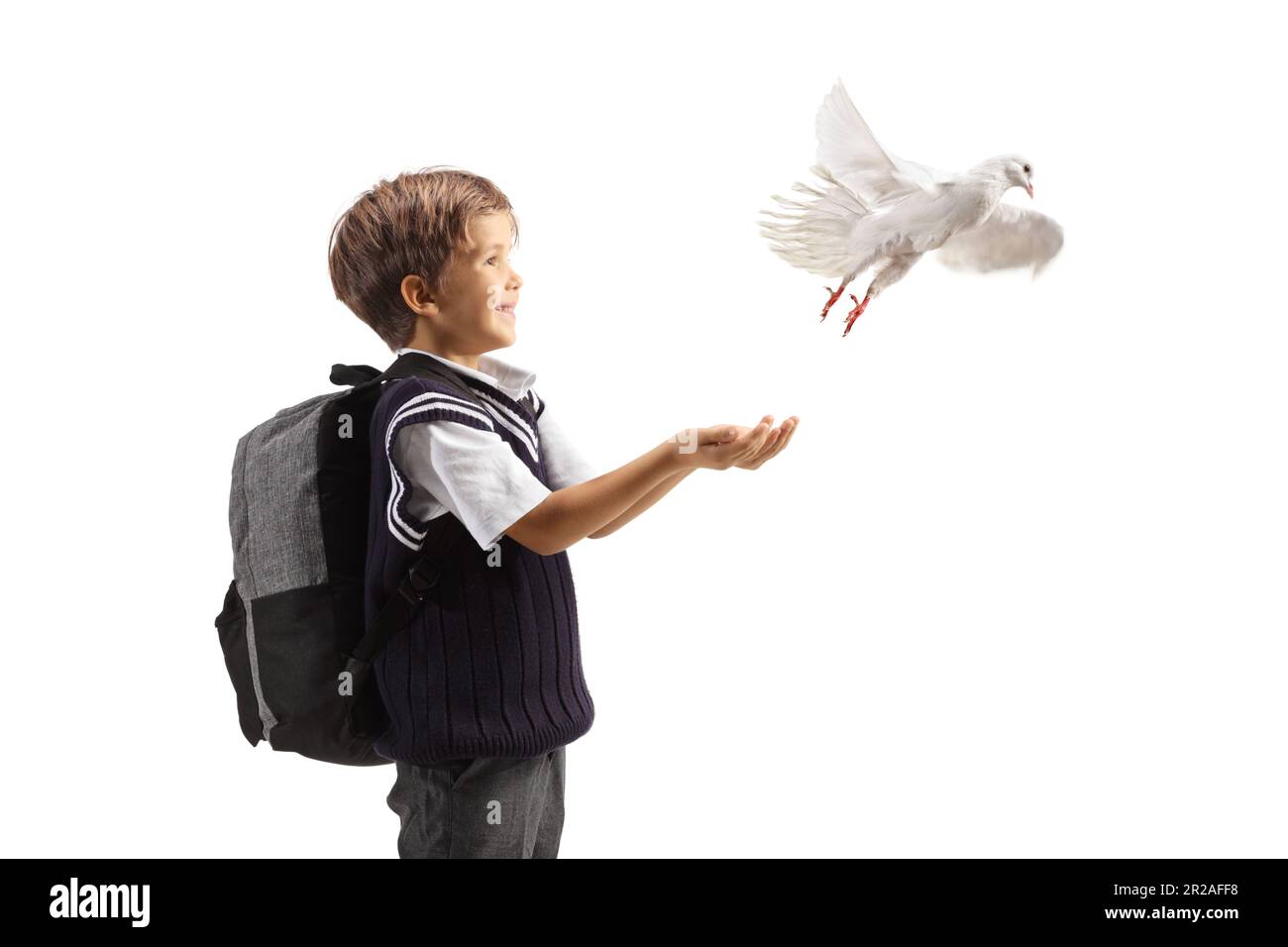 Profile shot of a schoolboy letting a white dove fly from his hands ...