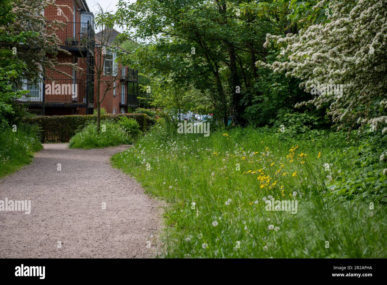 Long lane london houses hi-res stock photography and images - Alamy