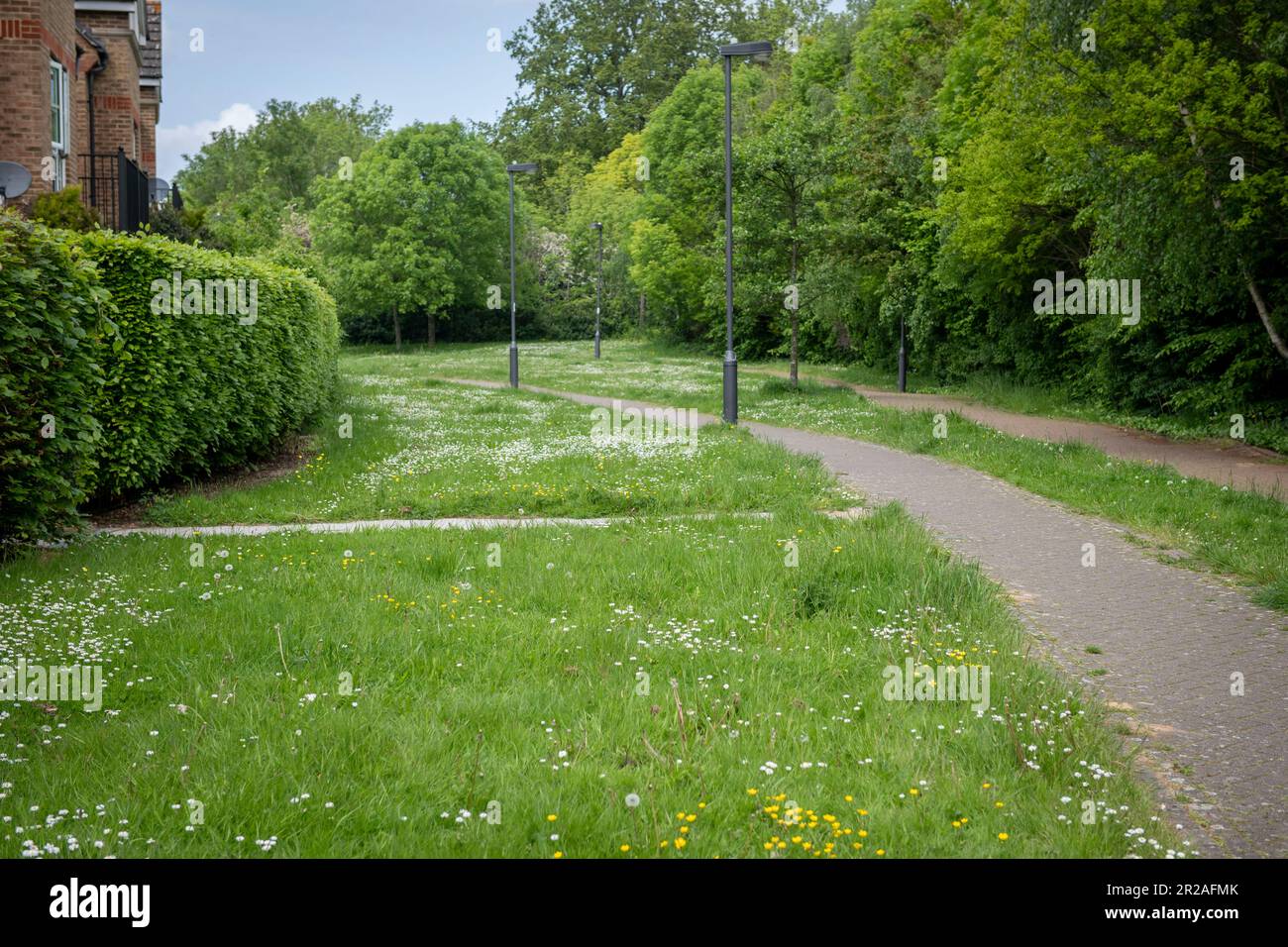 Harrow council is taking part in NOMOWMAY, a Plantlife initiative, in ...