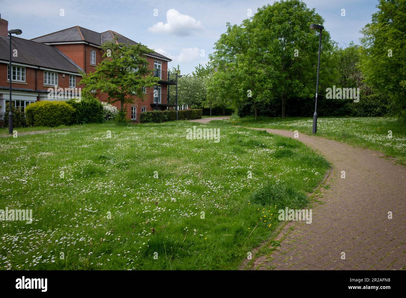 Harrow council is taking part in NOMOWMAY, a Plantlife initiative, in ...