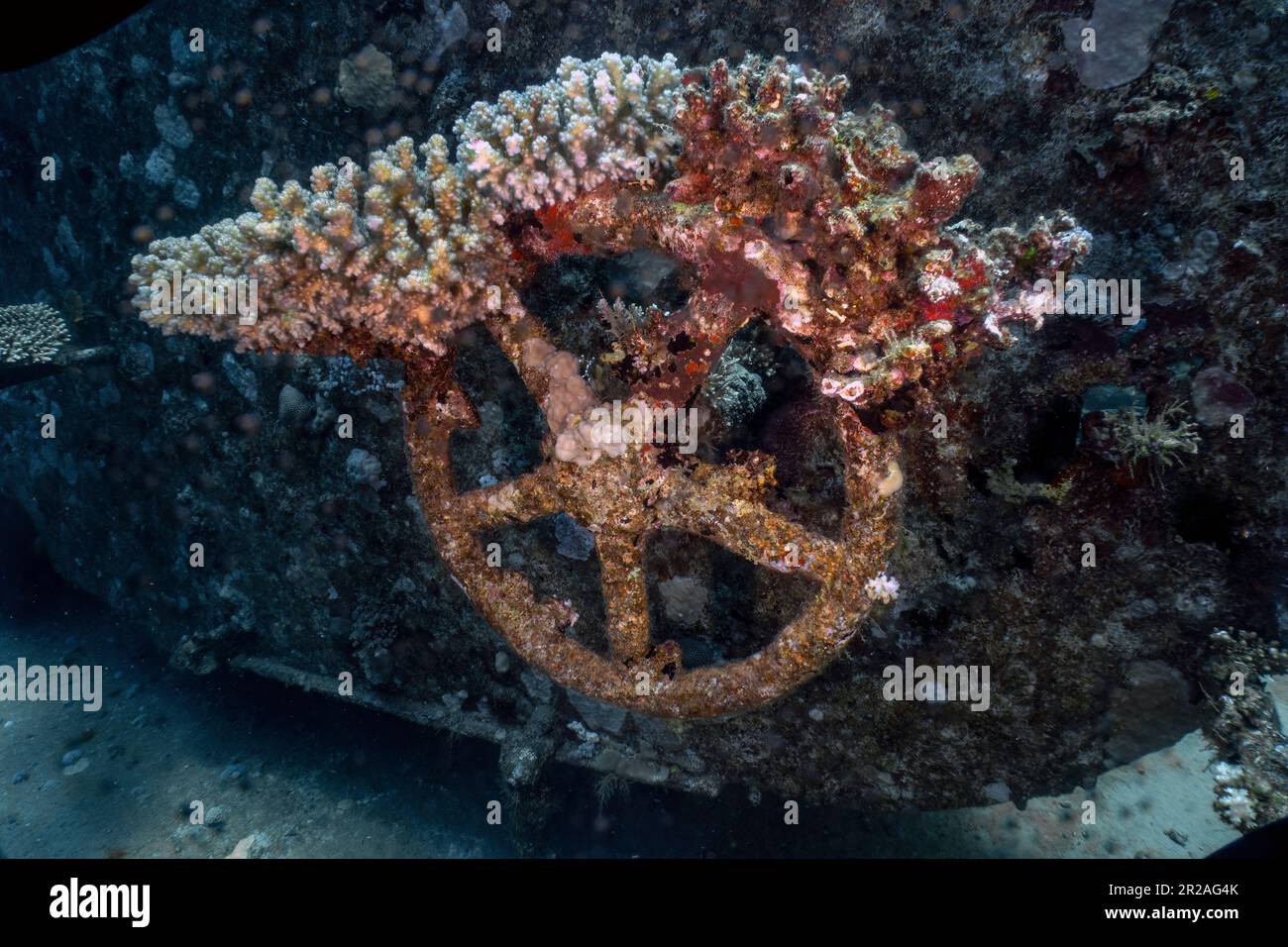 Ryusei maru hi-res stock photography and images - Alamy