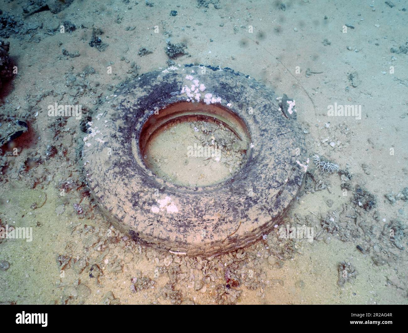The wreck of the Million Hope near Nabq, Sharm el Sheikh, Egypt Stock ...