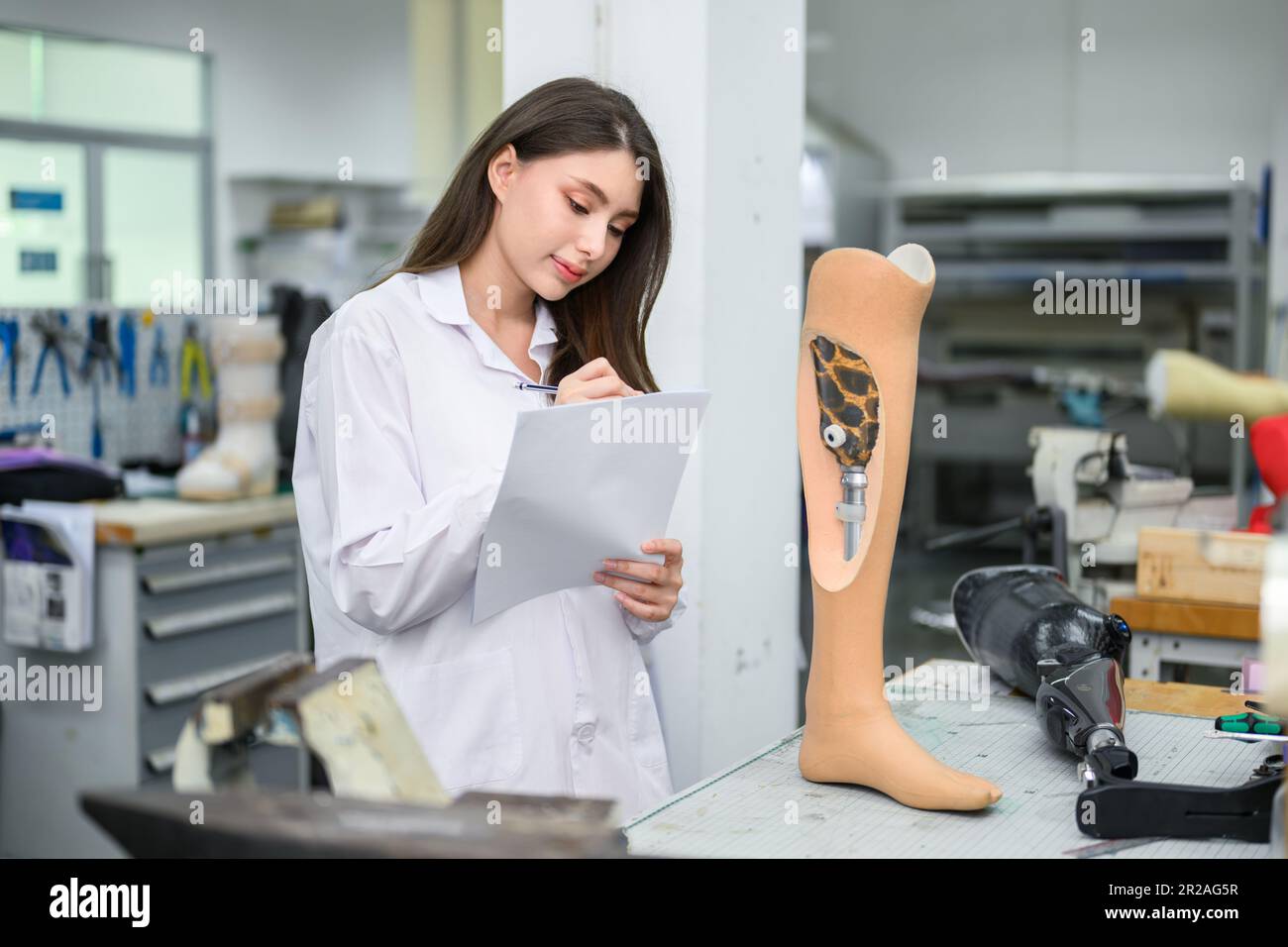 Female technician assembling and fixing parts of modern prosthetic leg ...