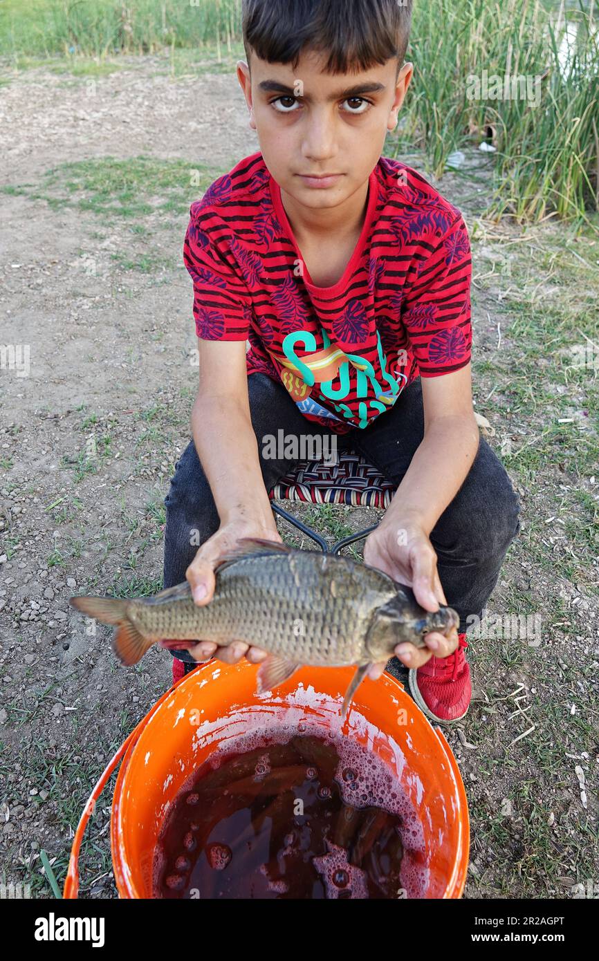 A child displays fish that his father caught on the banks of Tigris ...