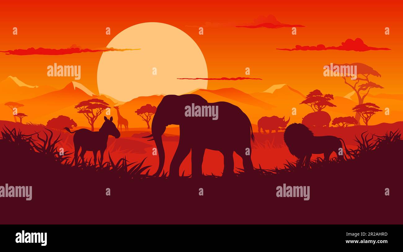 Zebra Silhouette Sunset