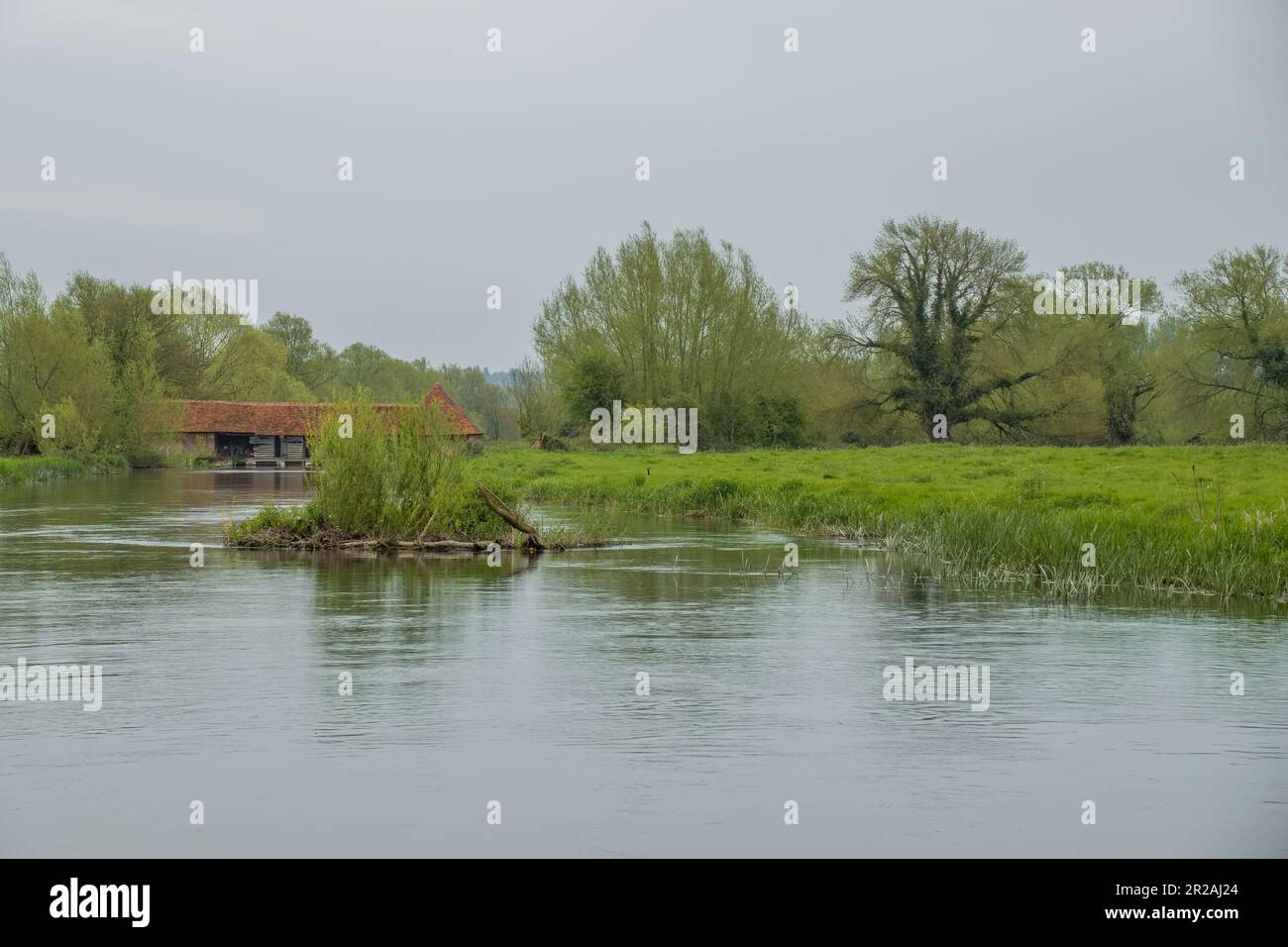 view of the River Avon at Salisbury Wiltshire England Stock Photo - Alamy