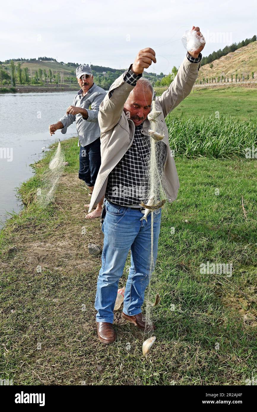 A fisherman displays fish he caught at Tigris river. In Diyarbakir, it ...