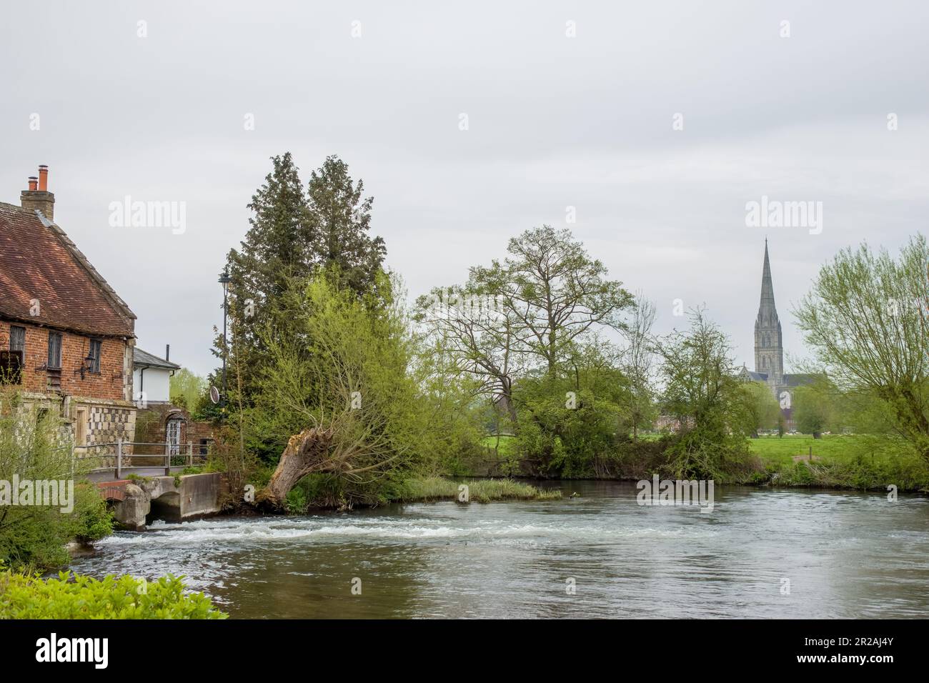view of Salisbury Cathedral across the River Avon Wiltshire England ...