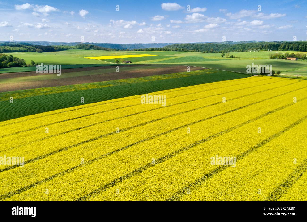 Canola field germany hi-res stock photography and images - Alamy