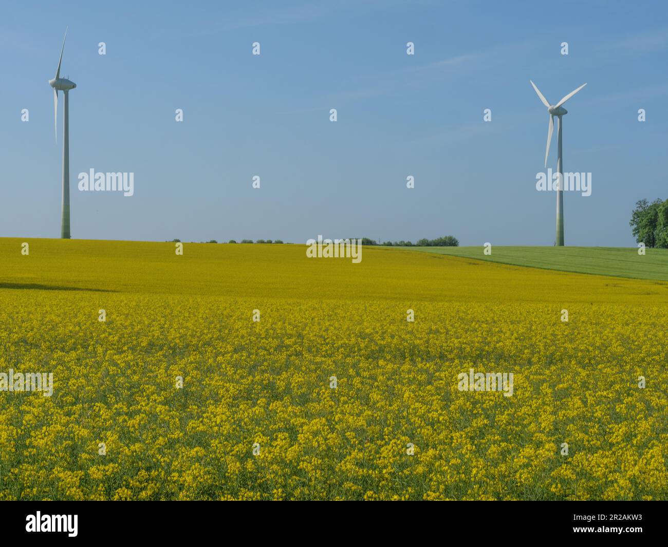 spring time in the german muensterland Stock Photo - Alamy