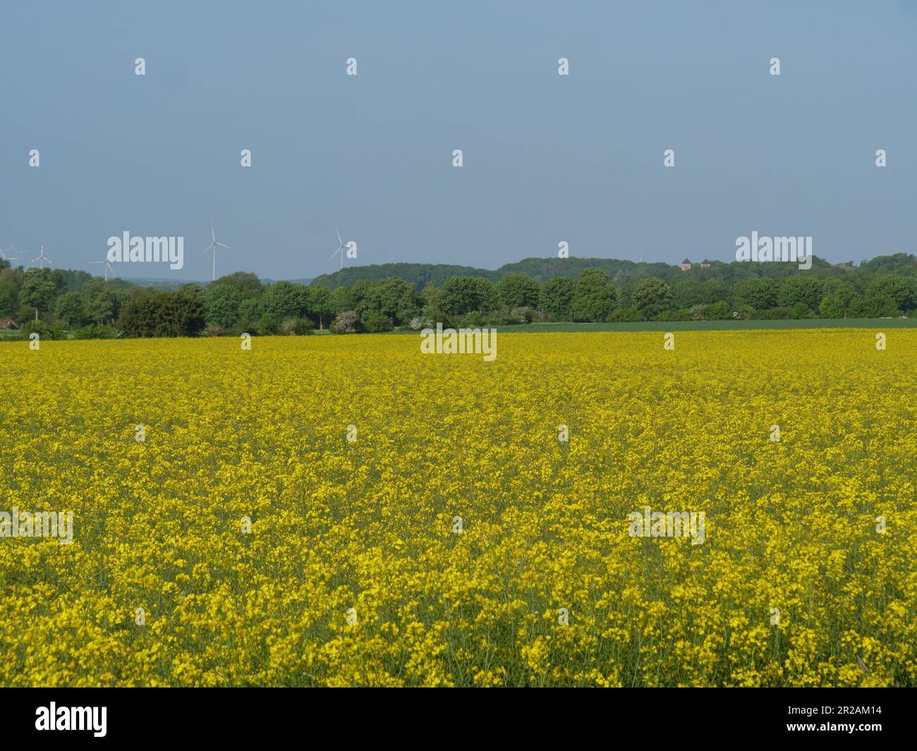spring time in the german muensterland Stock Photo - Alamy