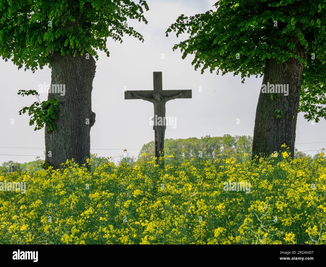 spring time in the german muensterland Stock Photo - Alamy