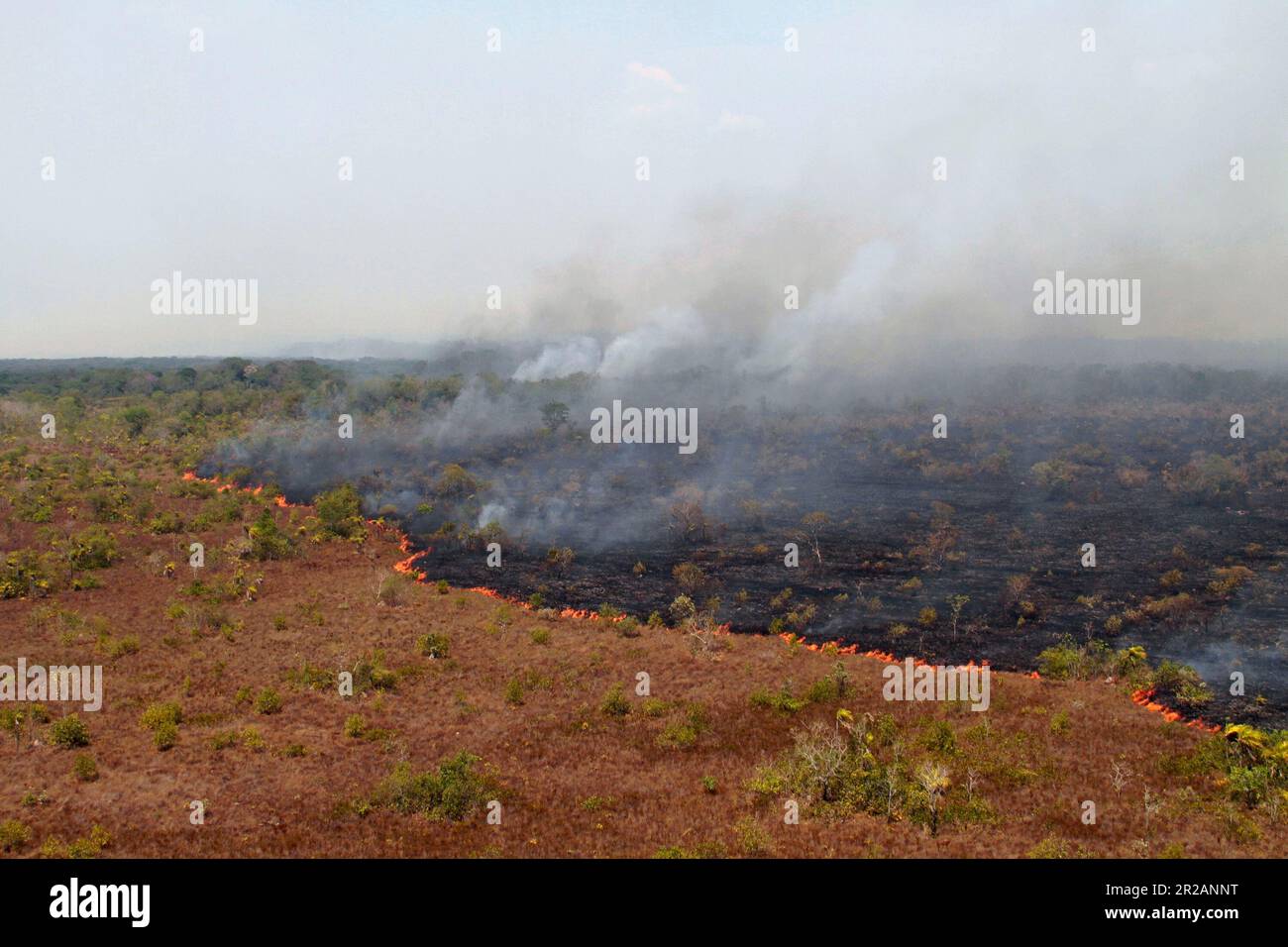 In this photo released by IBAMA, the Brazilian Environmental and ...