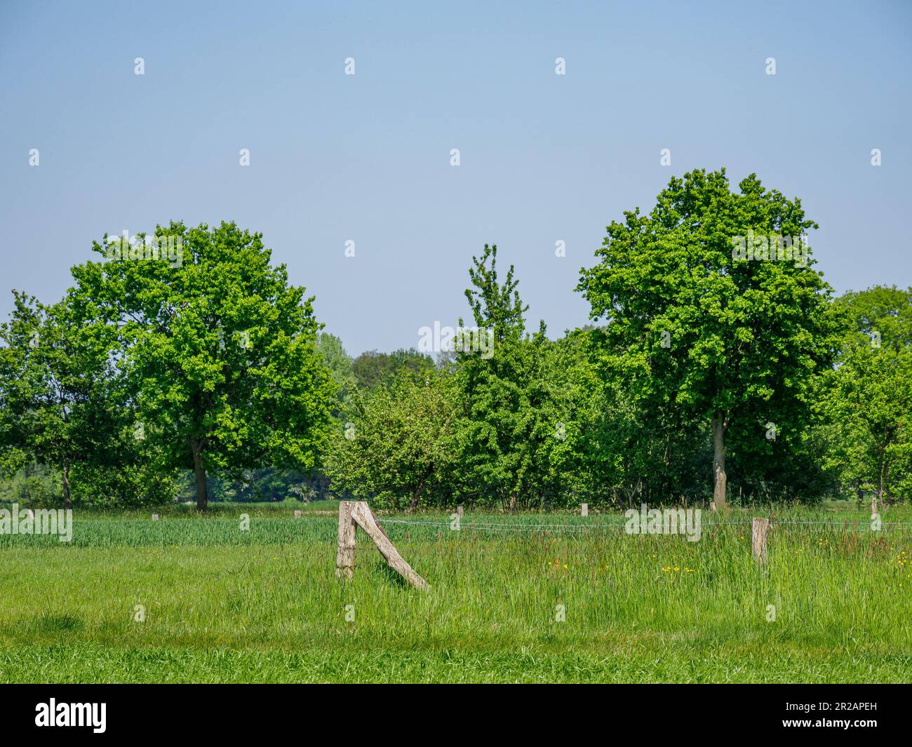 spring time in the german muensterland Stock Photo - Alamy