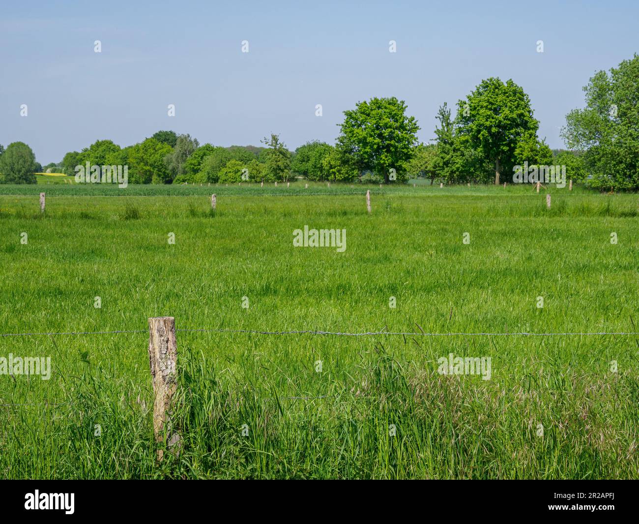 spring time in the german muensterland Stock Photo - Alamy