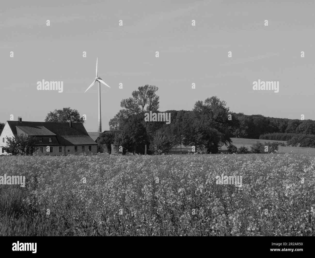 spring time in the german muensterland Stock Photo - Alamy