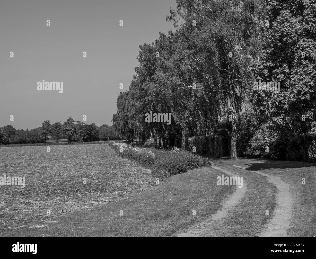 spring time in the german muensterland Stock Photo - Alamy