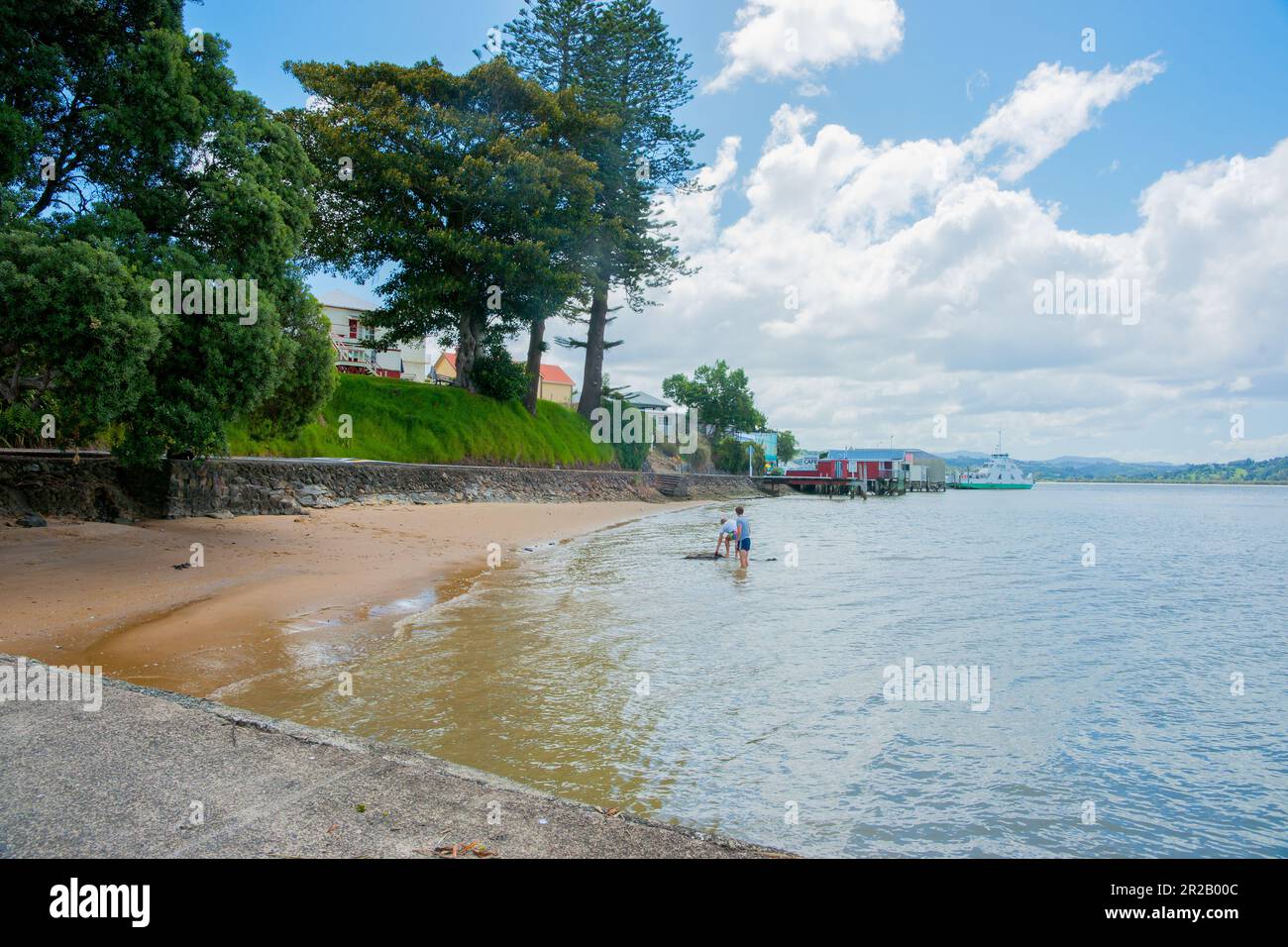 Rawene New Zealand -March 6 2011; Boys playing in water on beach by ...