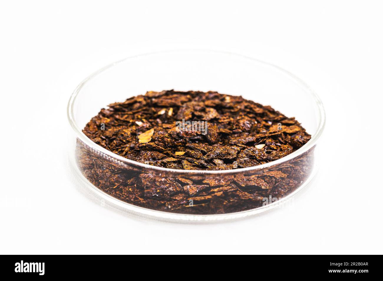 rusty metal, fragments of metal being corroded, in a petri dish ...