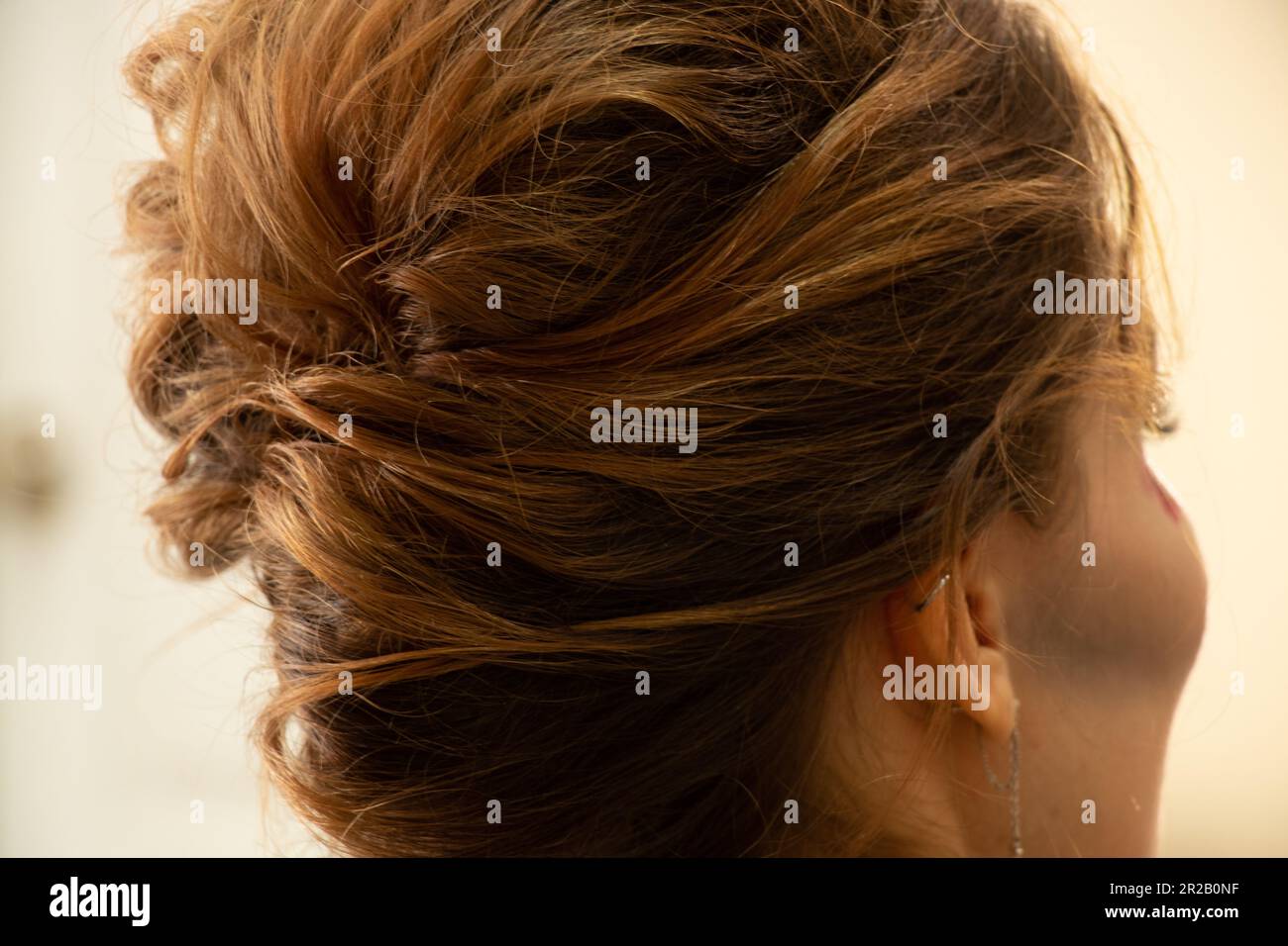 back view of the girl's hairstyle in the salon, stylish evening ...